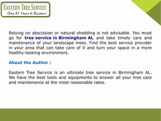 Tree Service Tools and Equipments | ODP