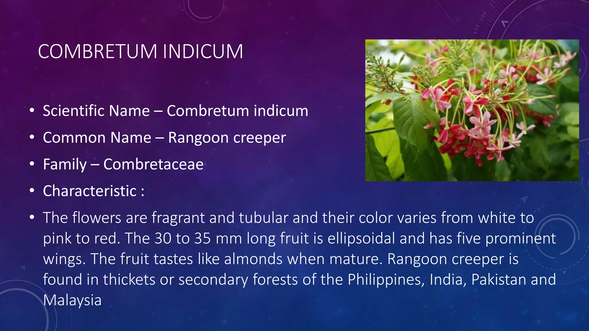 tree shrubs and climber - Copy.pptx