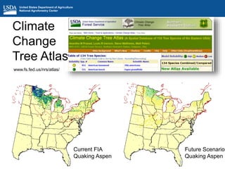 Tree & shrub selection guide for conservation in the great plains | PPTX