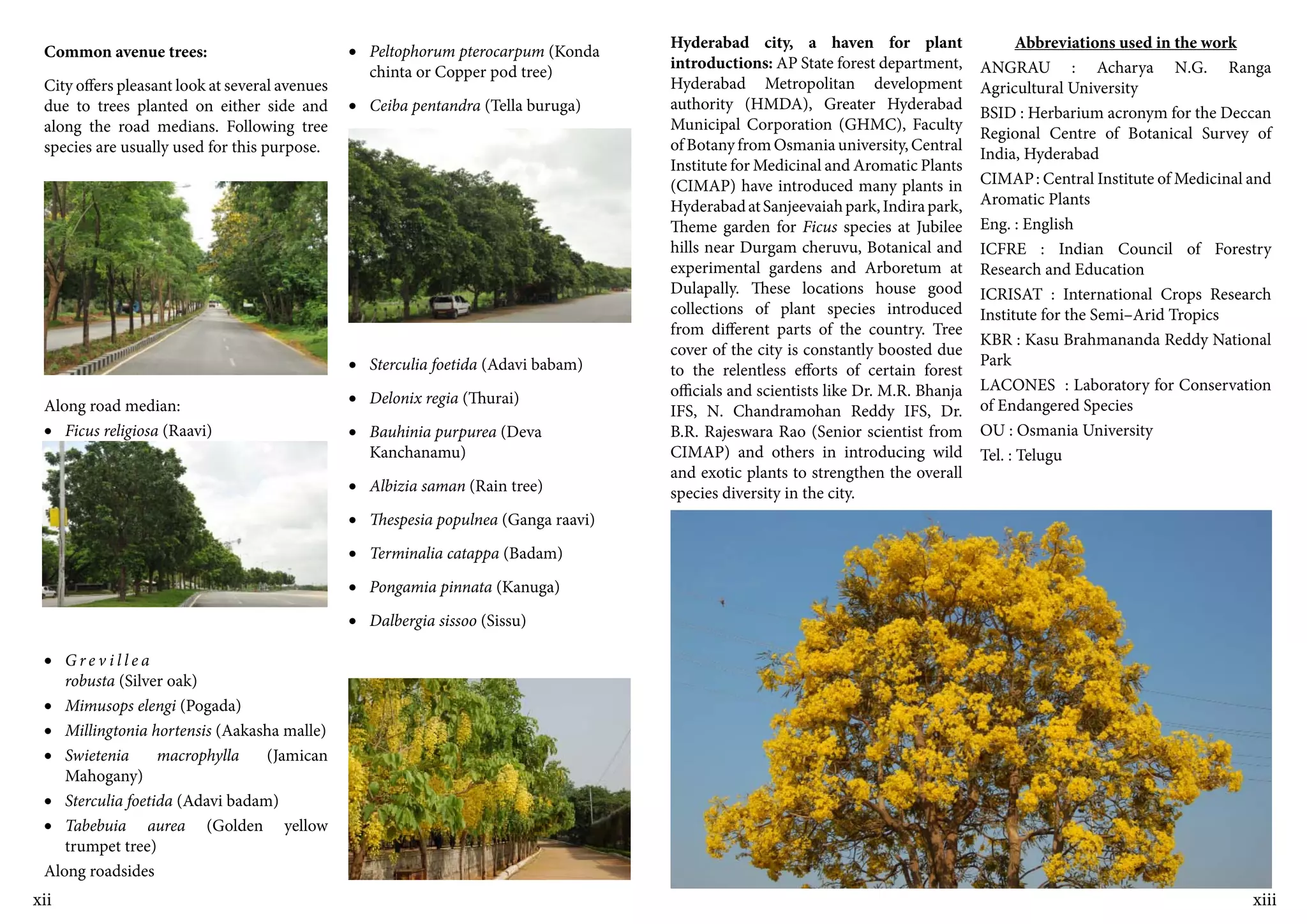 Trees of hyderabad | PDF