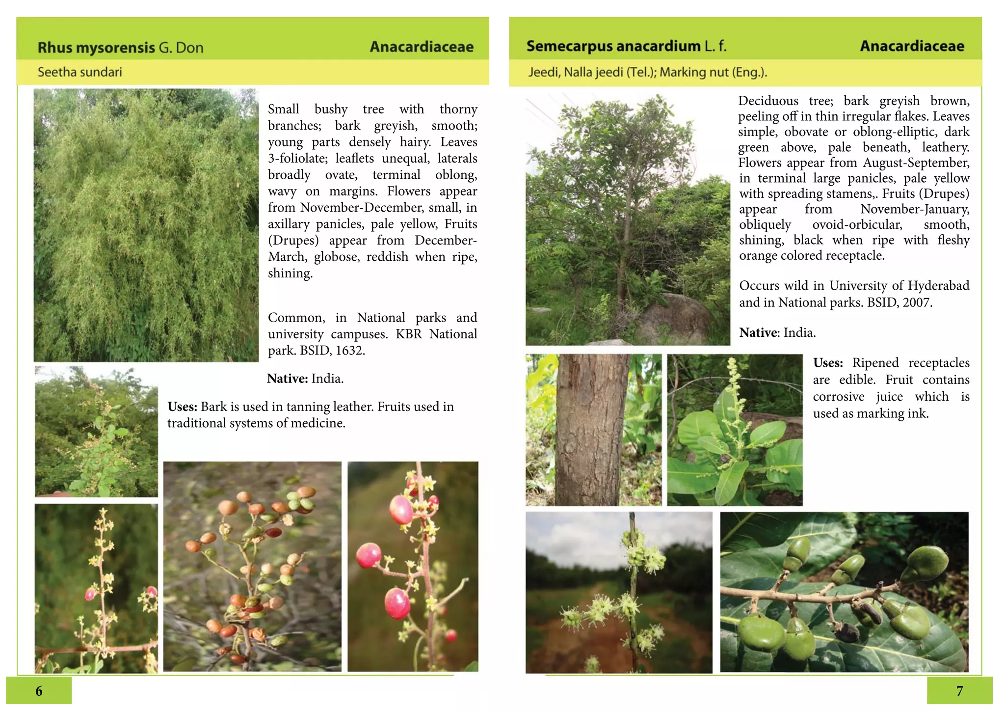 Trees of hyderabad | PDF