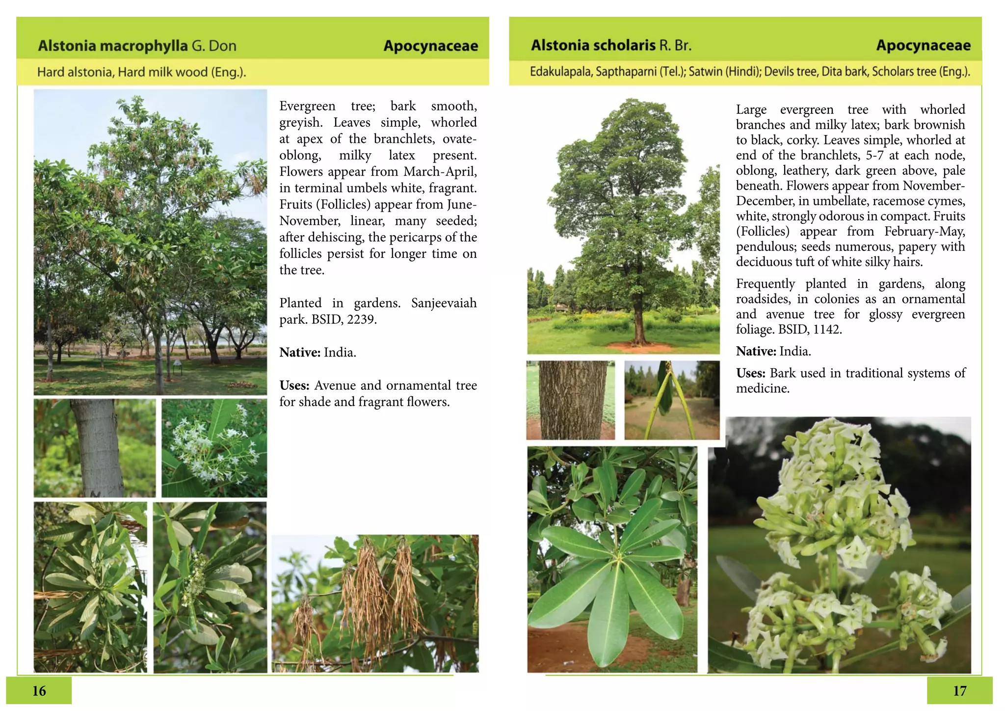 Trees of hyderabad | PDF