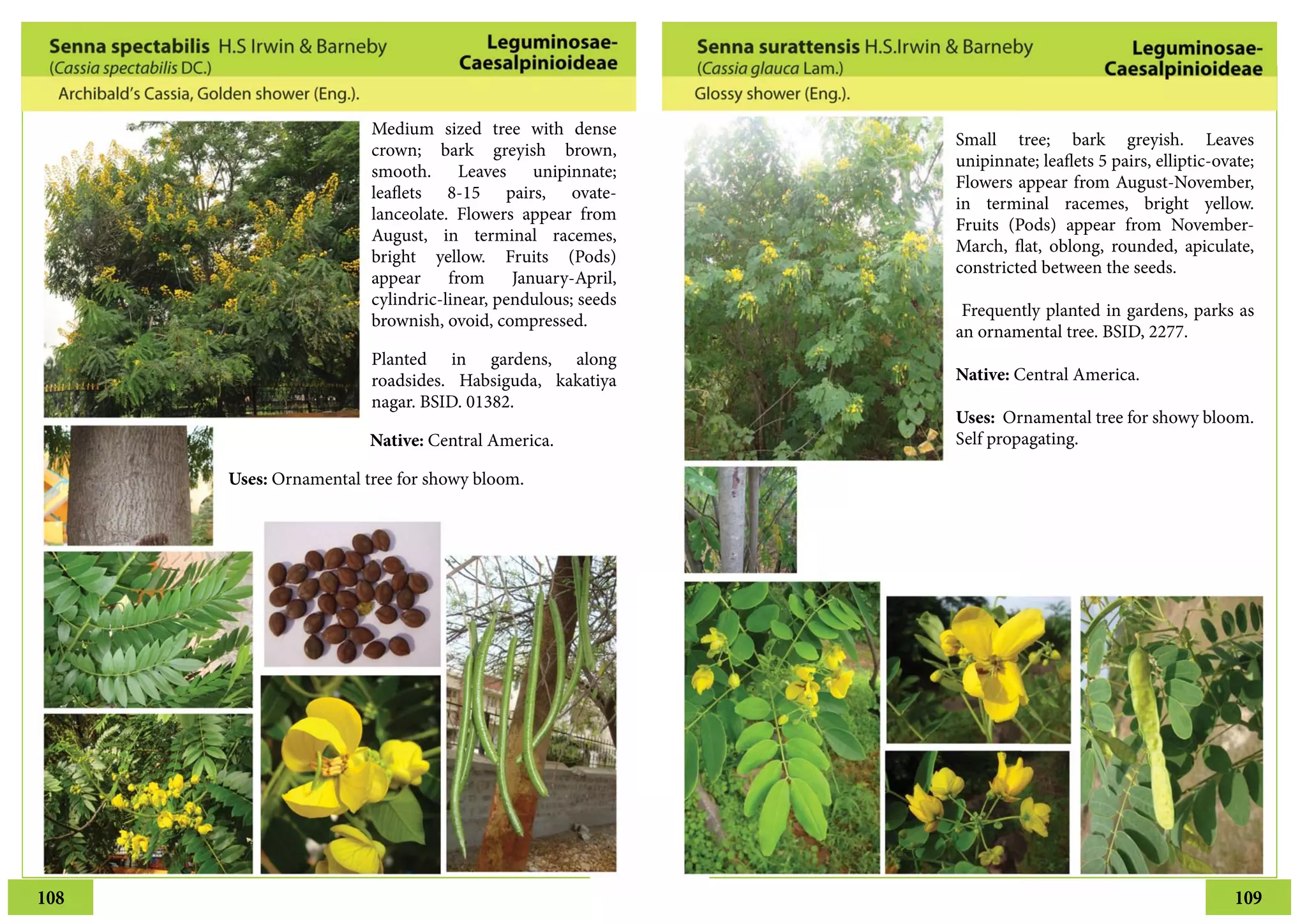 Trees of hyderabad | PDF