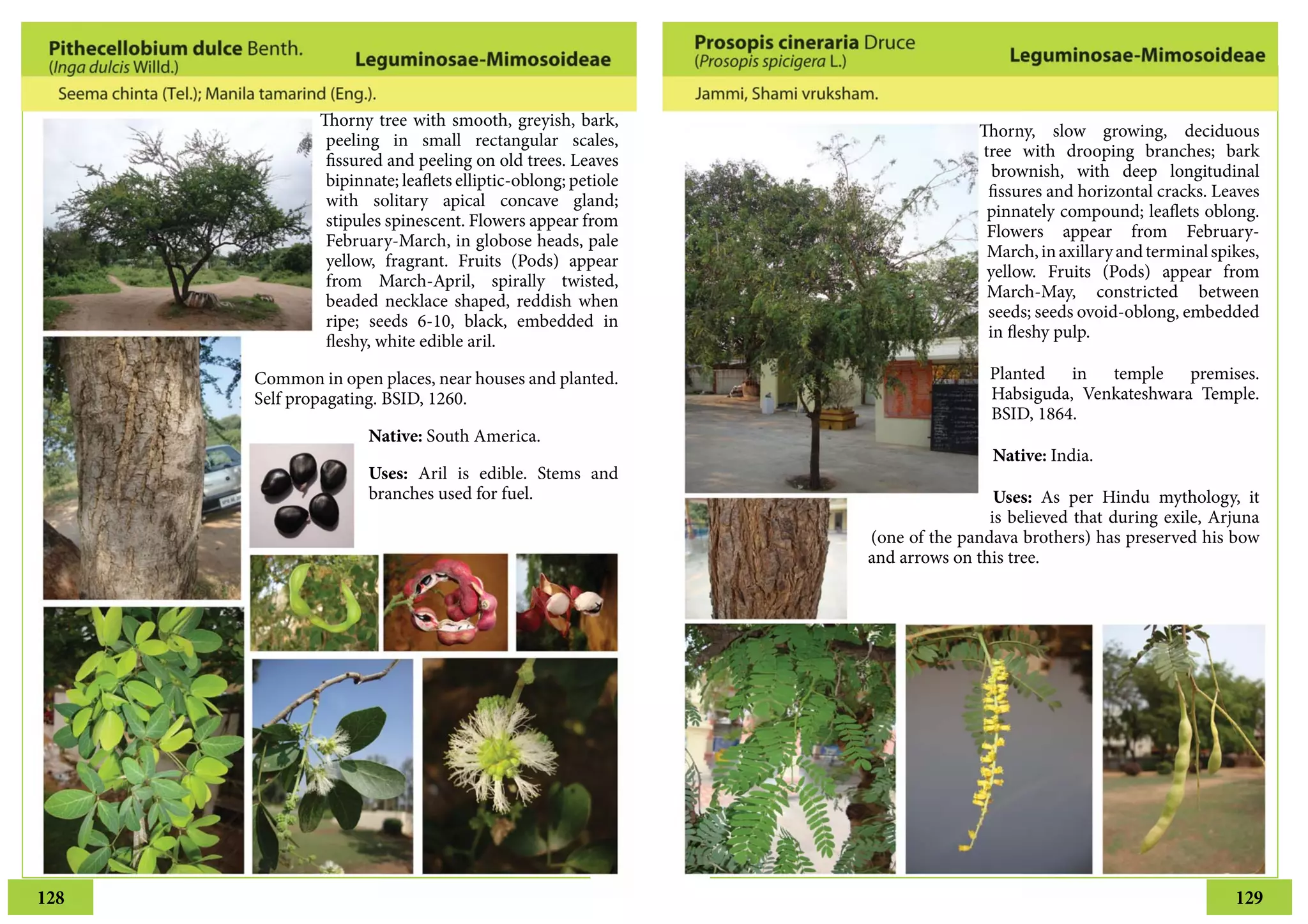 Trees of hyderabad | PDF