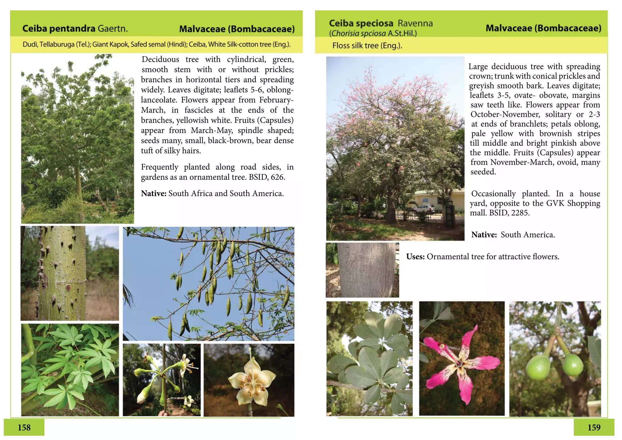 Trees of hyderabad | PDF