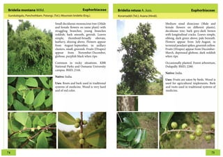 Trees of hyderabad | PDF