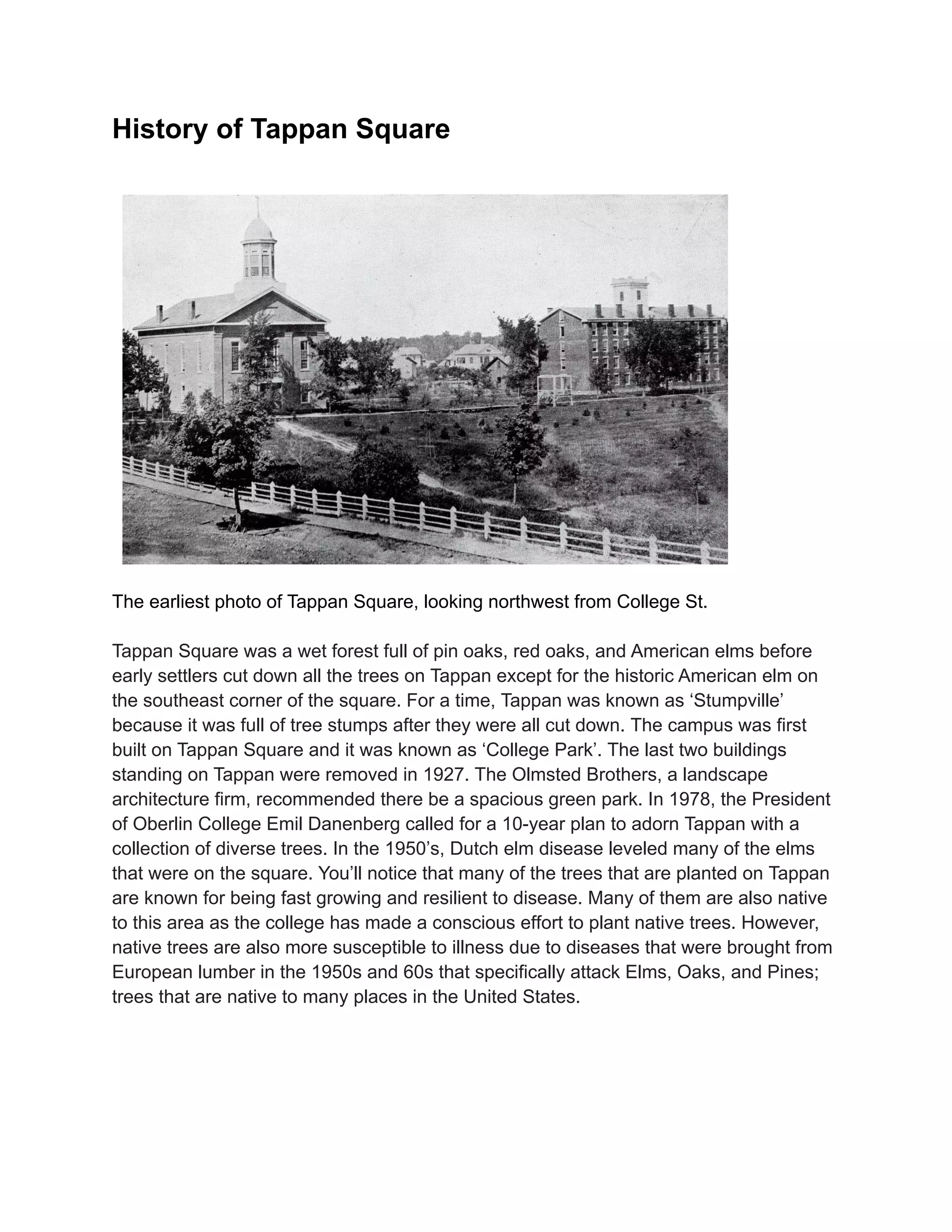 Trees of Tappan Square | PDF