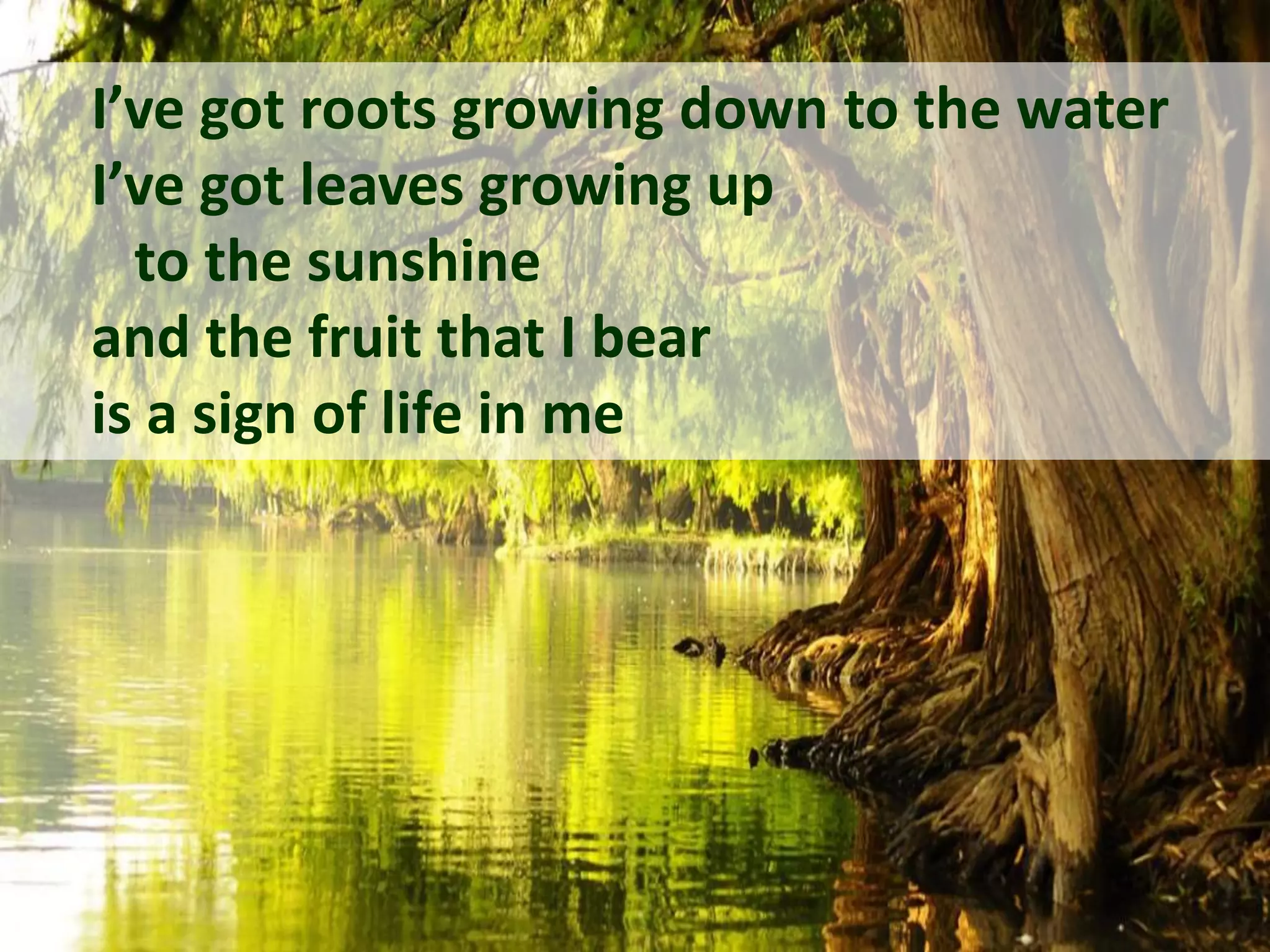 SINGSPIRATION Tree Song | PPTX