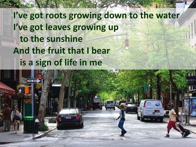SINGSPIRATION Tree Song | PPT