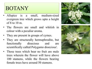 CROP IMPROVEMENT OF TREE SPICES | PPTX