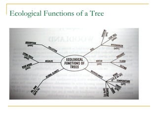 Working with trees | PPT