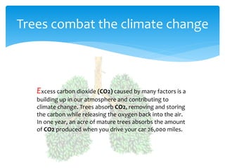 importance of trees | PPTX