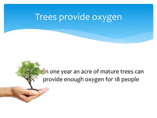 importance of trees | PPTX