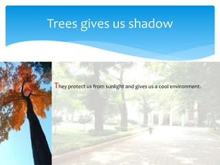 importance of trees | PPTX