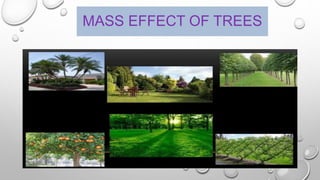 Ornamental trees in landscape india.pptx