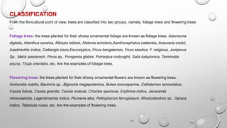 Ornamental trees in landscape india.pptx