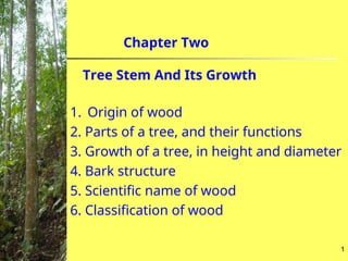 Wood Science Parts of the Tree Stem .ppt