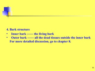 Wood Science Parts of the Tree Stem .ppt