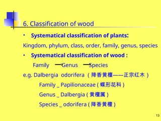 Wood Science Parts of the Tree Stem .ppt