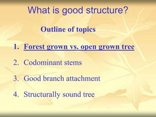 treestructure005.ppt