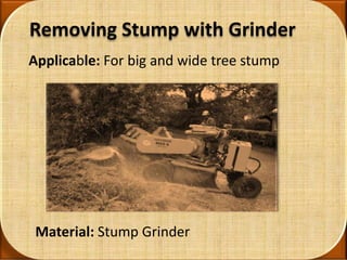 Tree stump removal methods | PPT