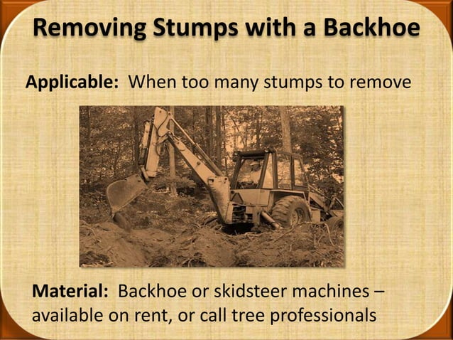 Tree stump removal methods | PPT