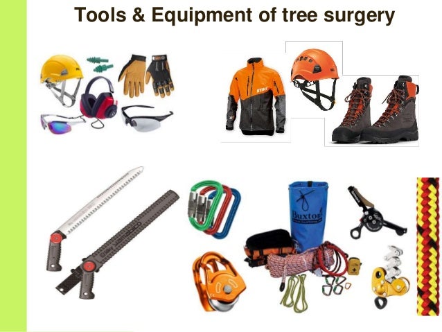 Tree Surgeons- Efficient Service Providers