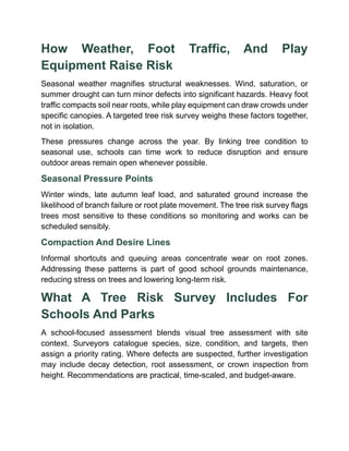 Tree Surveys For Schools And Playgrounds Keeping Outdoor Areas Safe ...