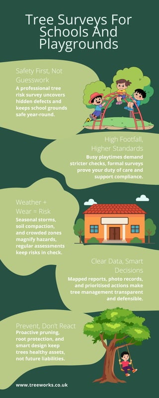 Tree Surveys For Schools And Playgrounds: Keeping Outdoor Areas Safe ...