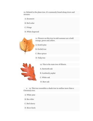 Tree test | PDF