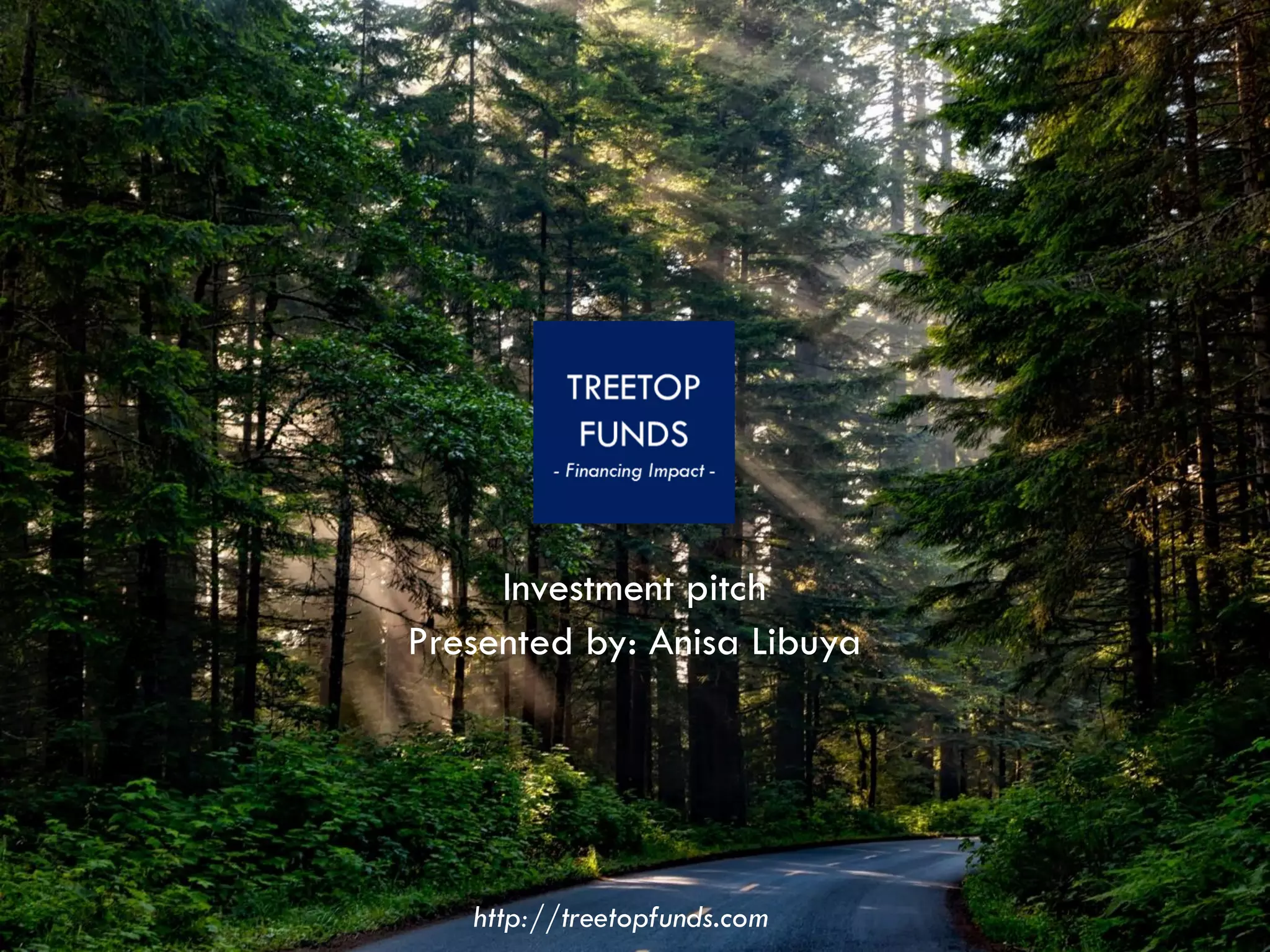 Treetop Investment Motivation | PPT
