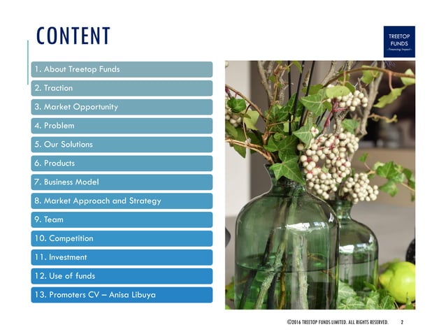 Treetop Investment Motivation | PPT