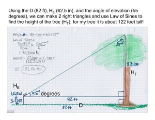 Eric's Tree Trig Presentation | PDF | Physics | Science