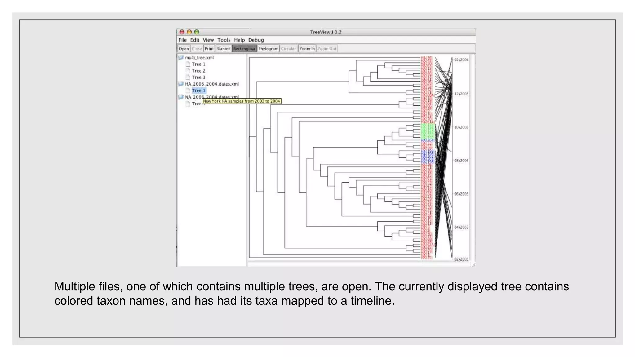 Phylogenetic Tree viewing softwares | PPT