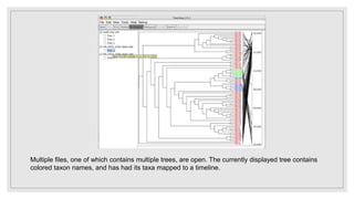 Phylogenetic Tree viewing softwares | PPT