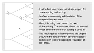Phylogenetic Tree viewing softwares | PPT
