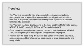 Phylogenetic Tree viewing softwares | PPT