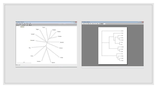 Phylogenetic Tree viewing softwares | PPT