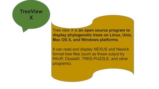 Tree View X software ppt.pptx