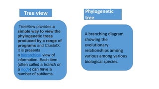 Tree View X software ppt.pptx