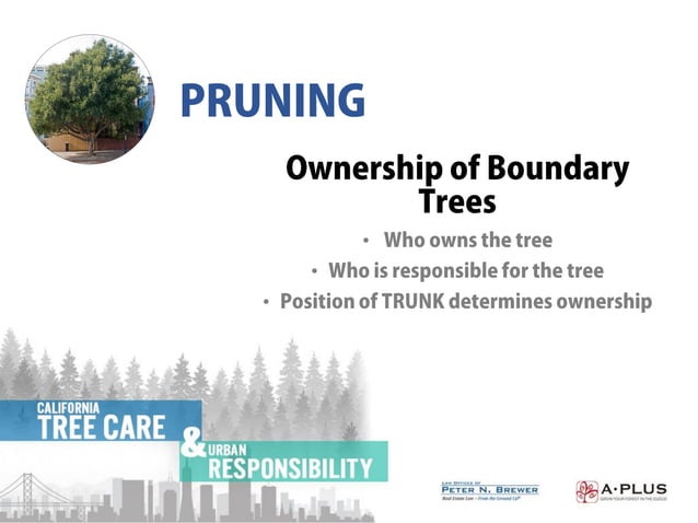 California Tree Care & Urban Responsibility | PDF