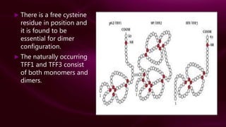 Trefoil factor | PPTX
