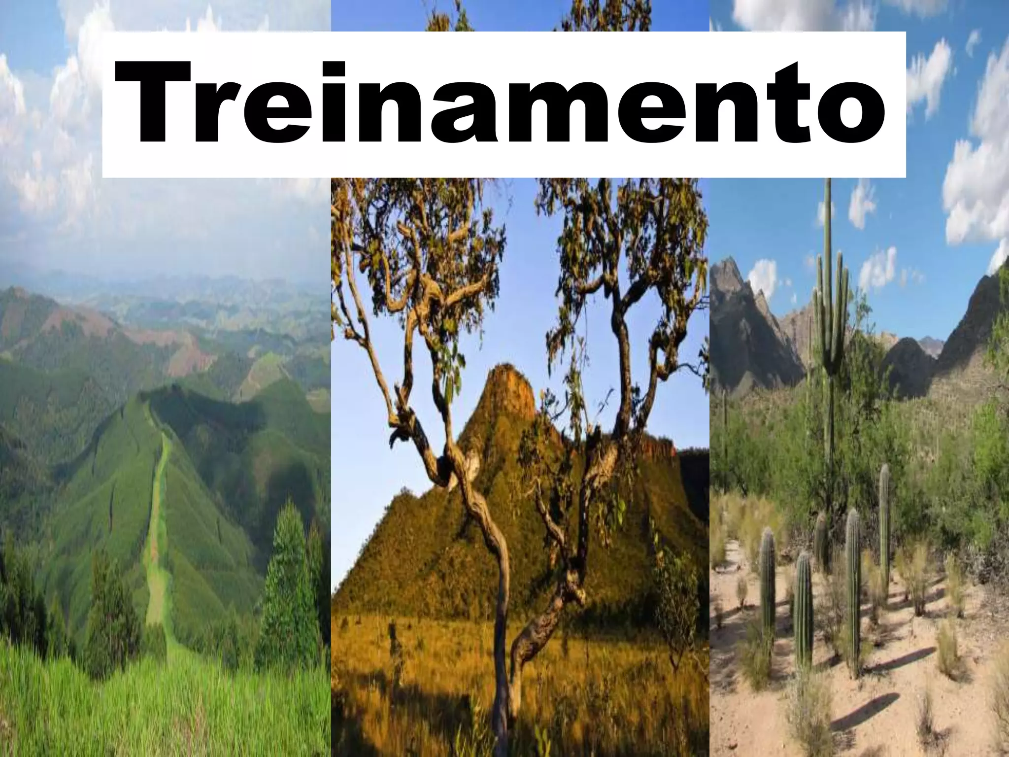 Treinamento: Cerrado, Caatinga e Mares de morro | PPTX