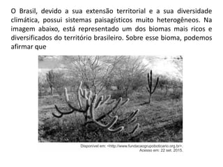 Treinamento: Cerrado, Caatinga e Mares de morro | PPTX