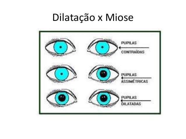 Treinamento circulante