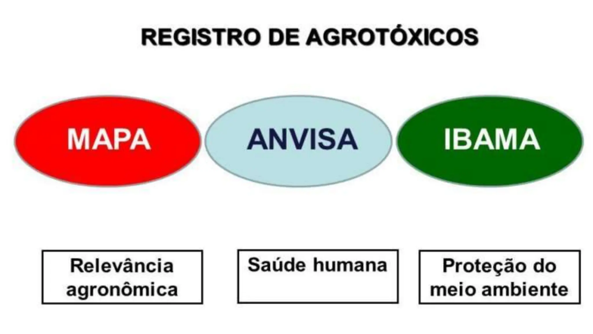 NR 31 - TREINAMENTO NR 31.7 - Copia.pptx