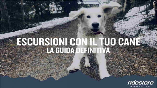 Trekking con il cane - Ridestore Magazine | PDF