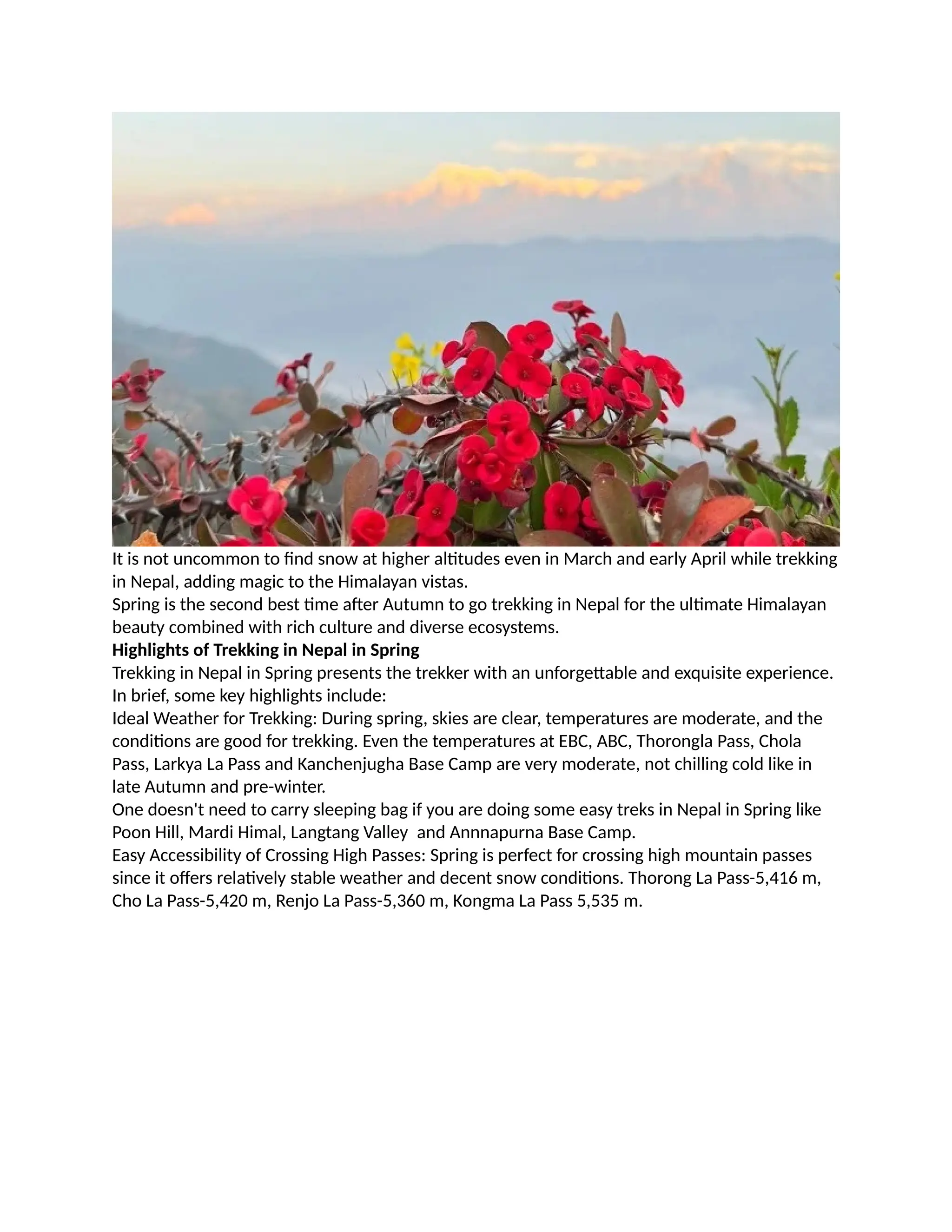Trekking in Nepal in Spring. docx | PDF
