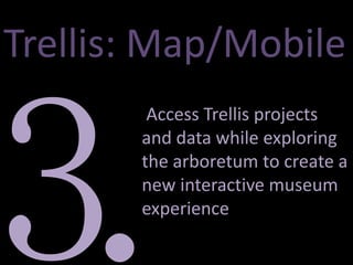 Trellis | PPT