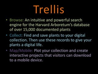 Trellis | PPT